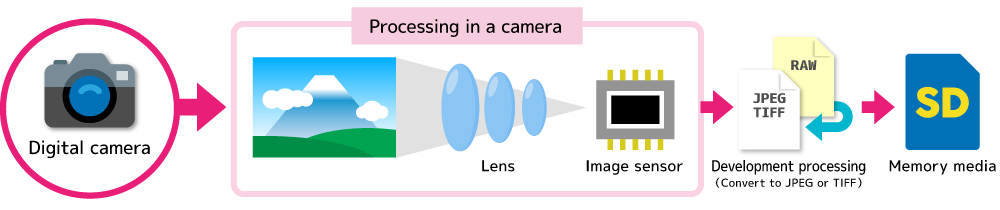 What Is RAW Data SILKYPIX